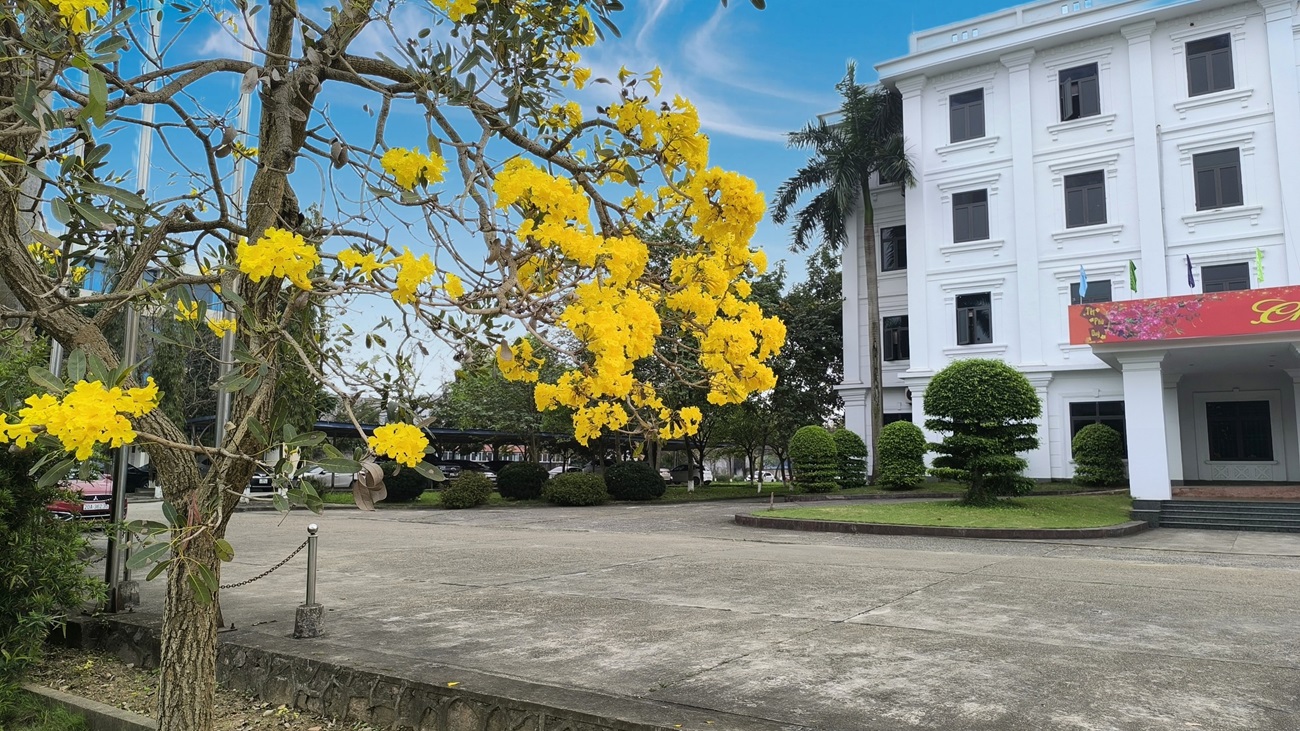 Thông báo v/v thực hiện thu tiền học phí học kỳ 3 năm học 2024 - 2025 ...