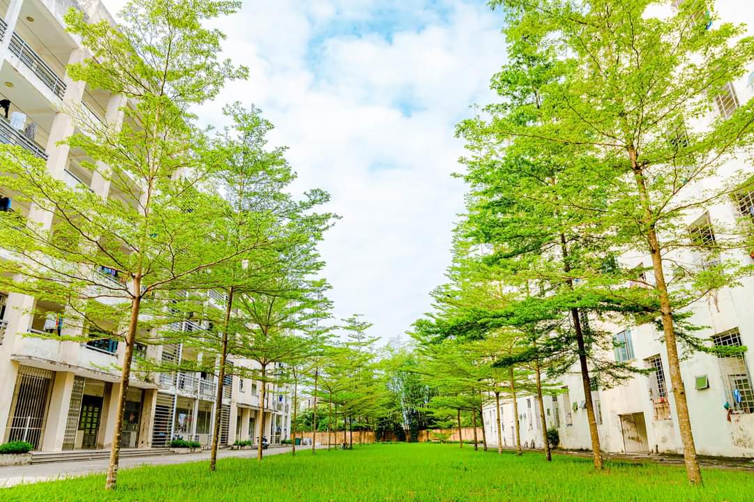 Phòng Thí nghiệm/Thực hành điện tử cơ bản | Tnut.edu.vn